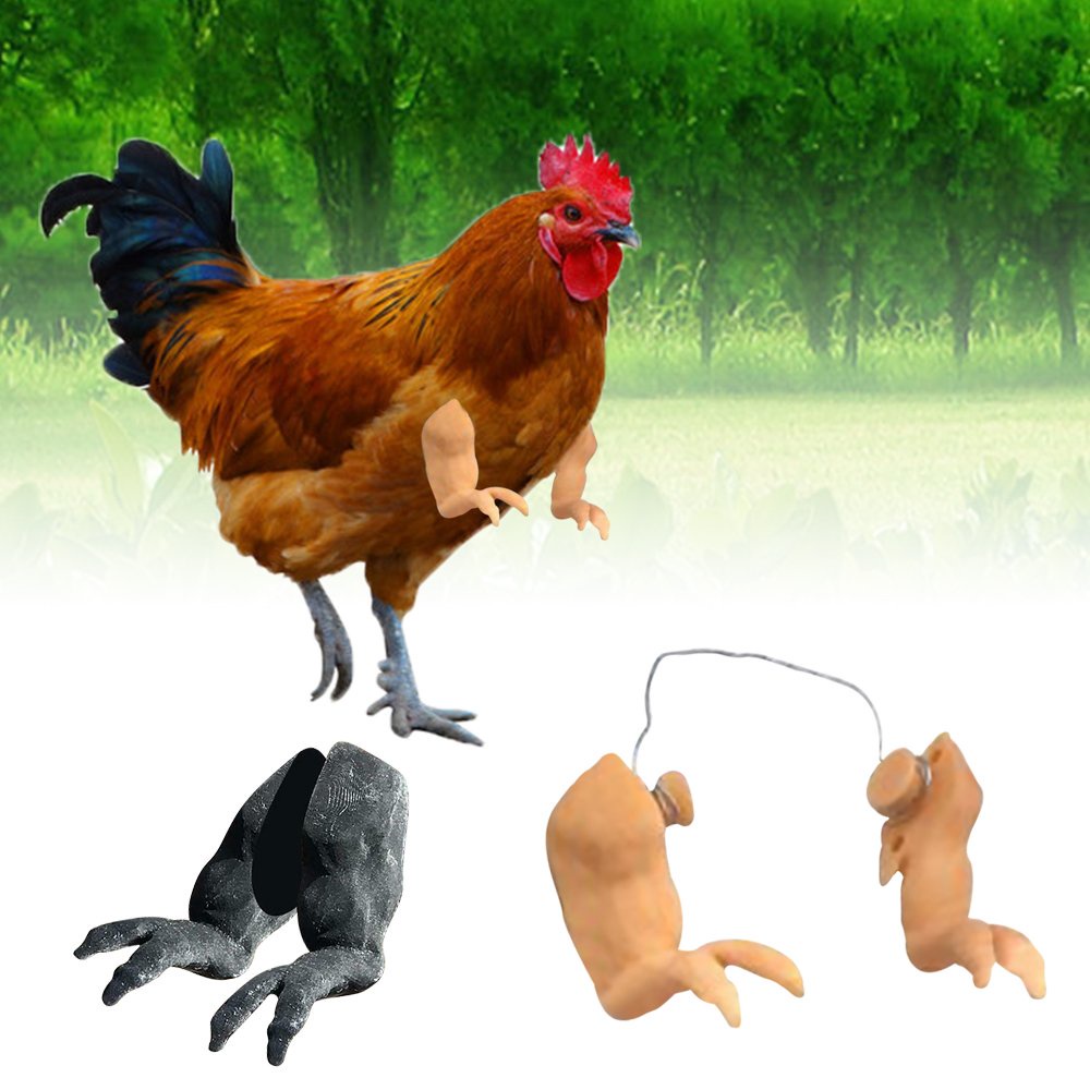 Arms For Chicken 3D Printed, Fist Arms Meme, Thumbs-Up Chicken ...