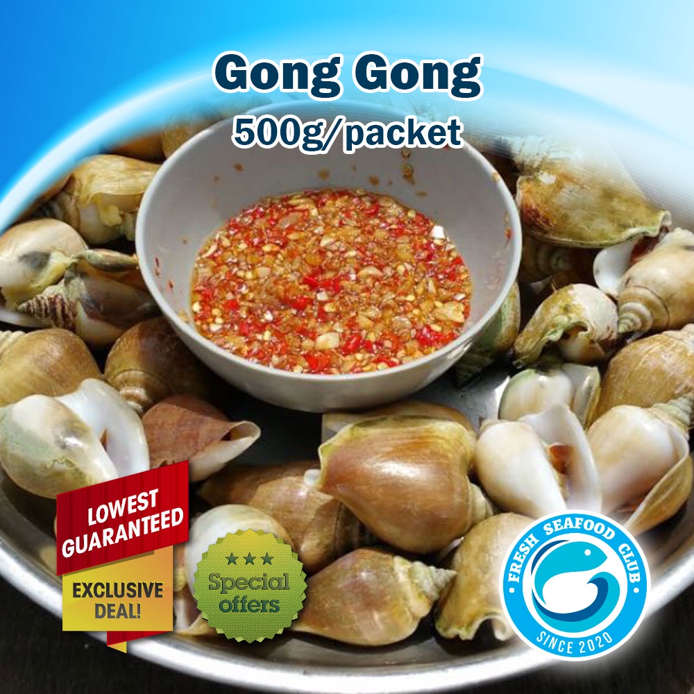 Gong Gong, Gross Weight: 2 x 500g/packet | Shopee Singapore