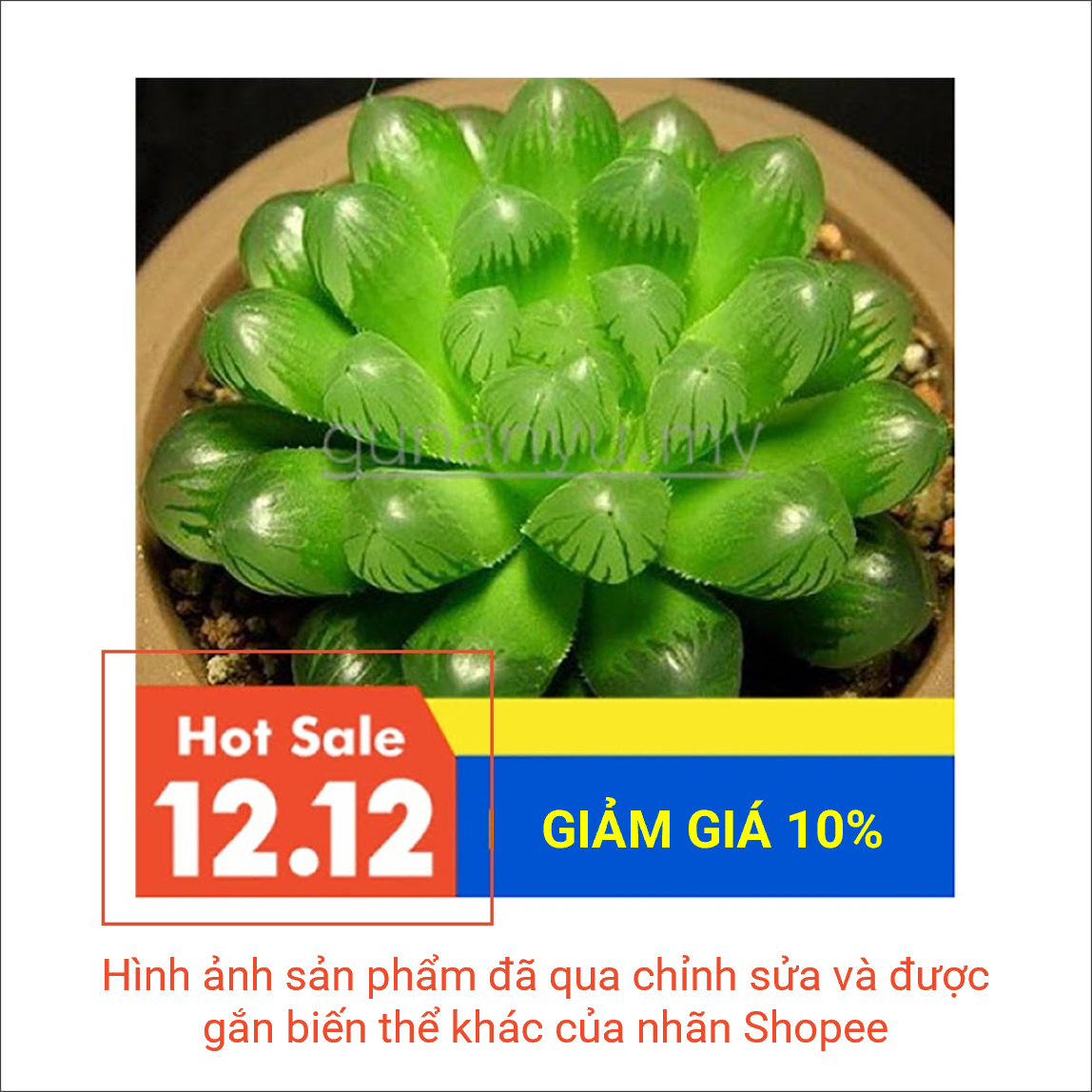 Quy định về việc sử dụng Nhãn Shopee | Học viện Shopee - Shopee Uni Vietnam