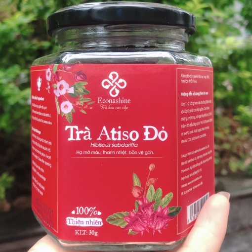 Red Atiso Flower | Best Flower Site