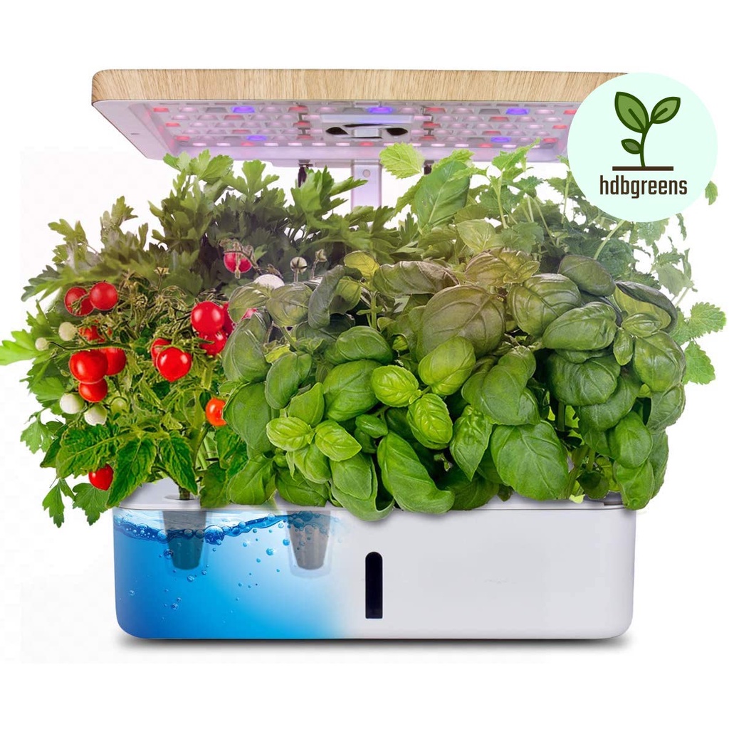 hydroponics kit - Prices and Deals - Dec 2022 | Shopee Singapore