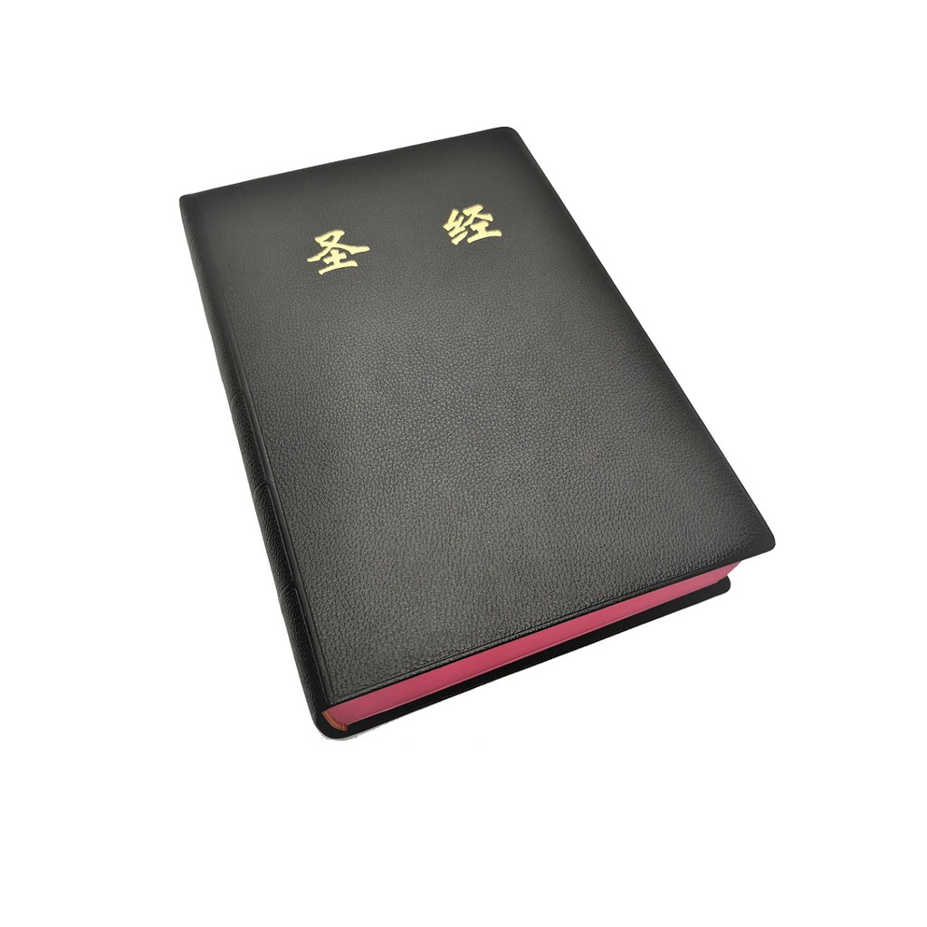 Catholic Holy Bible – Chinese Version (天主教中文圣经) | Shopee Singapore