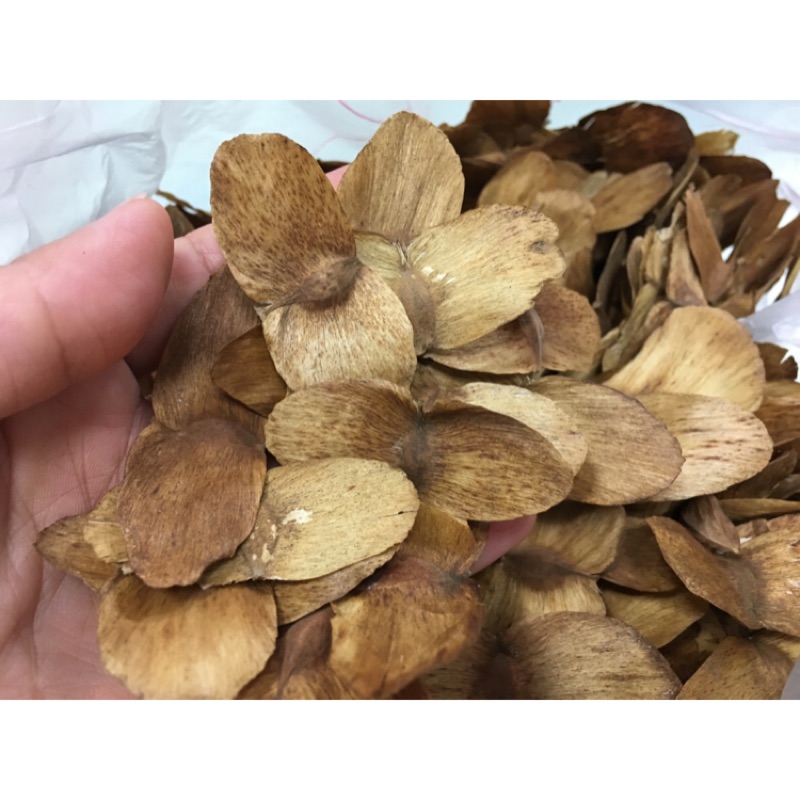 Manila Olive Kernel (Philippines Kernel) | Shopee Singapore