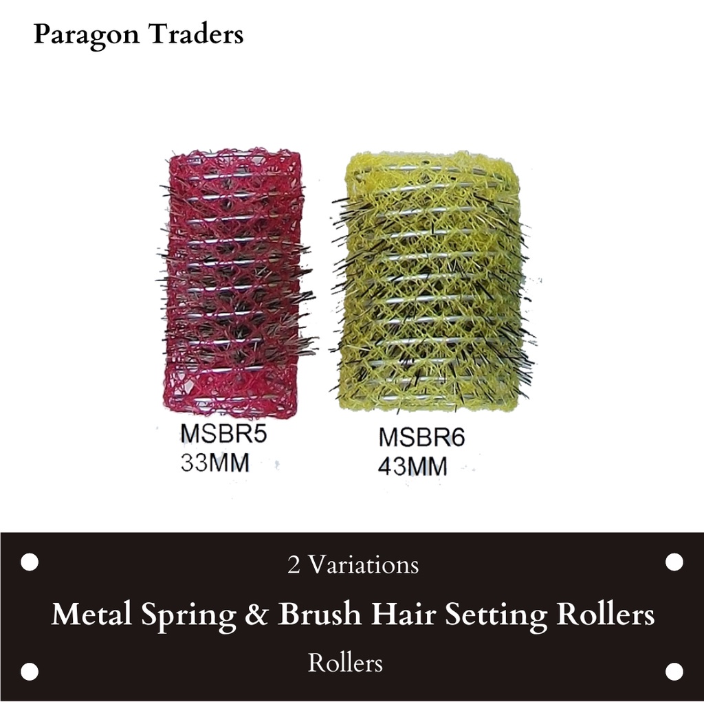 Metal Spring & Brush Hair Setting Rollers | Shopee Singapore