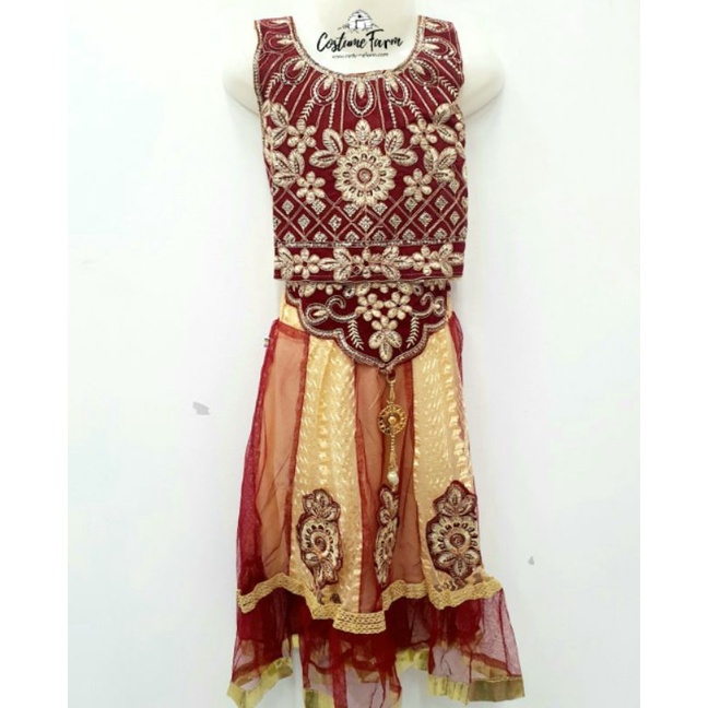 Traditional Indian Girl Costume for Deepavali | BeeCost