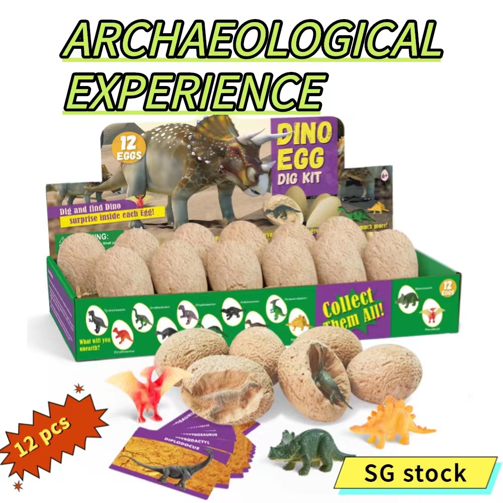 Did it up! Dino Egg Dig Kit Dinosaur Eggs Dig Kits 12 Dinosaur ...