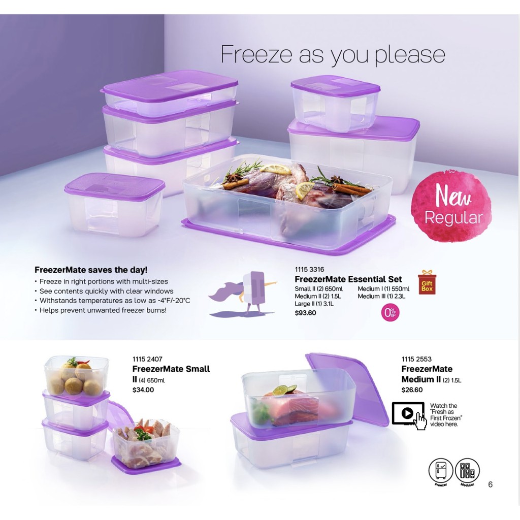 [Tupperware FreezerMate] Freezer Safe Storage Container | Shopee Singapore