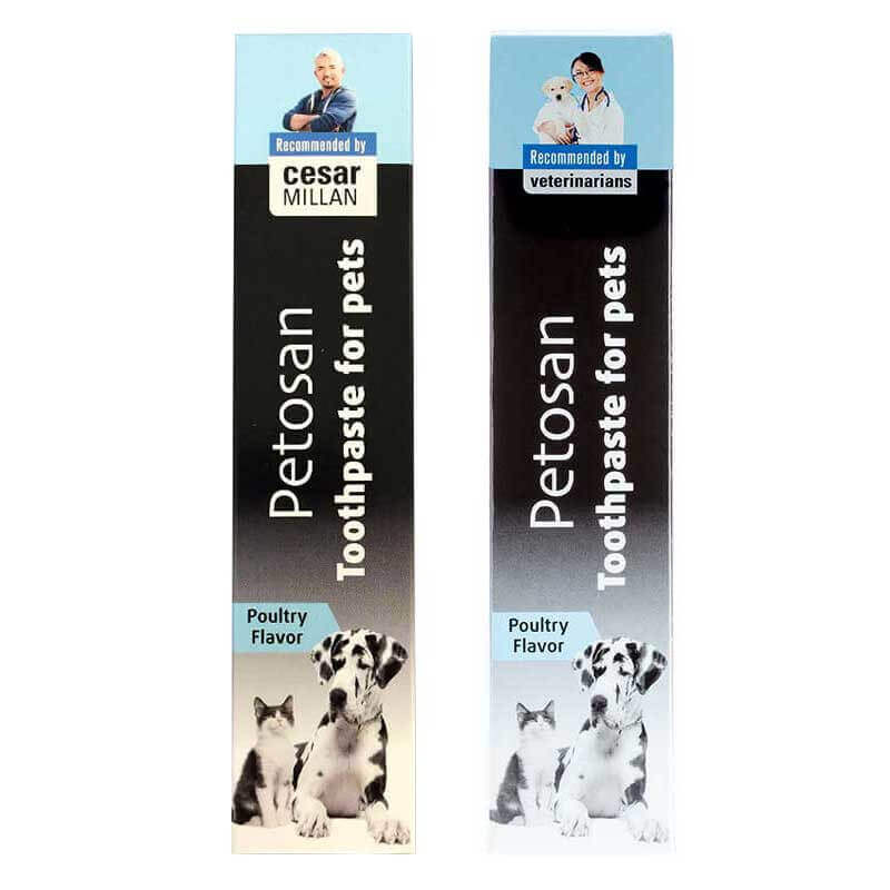 PETOSAN Toothpaste (Poultry Flavor) 70G | Shopee Singapore
