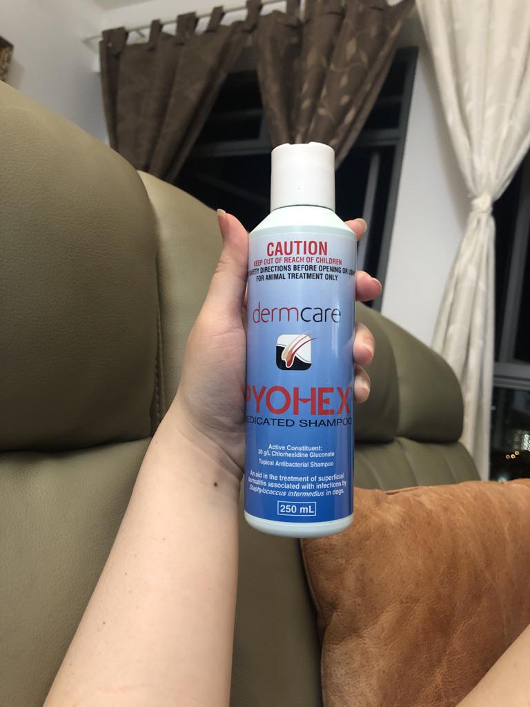 Dermcare Pyohex Medicated Shampoo For Dogs 250ml | Shopee Singapore