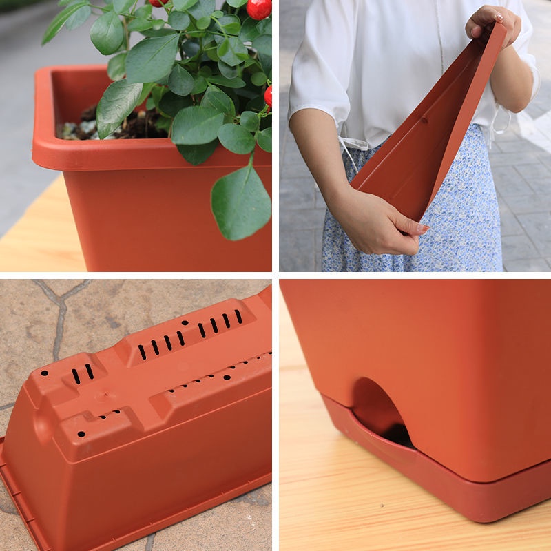 Horun Planting Basin Balcony Vegetable Planting Special Basin Household ...