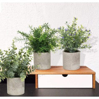 [SG STOCK] Small Potted Artificial Table Plants, Mini Fake Rosemary ...
