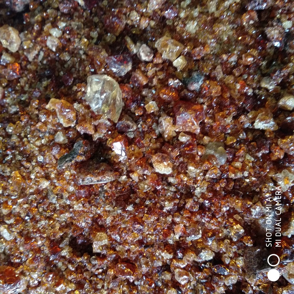 100 gms Indian Edible Gum, Acacia Gum, Gond Katira, Babool ka Gond ...