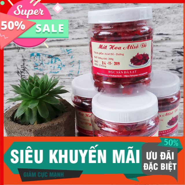 Red Atiso Flower | Best Flower Site