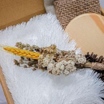 Latest!! Aesthetic Package STUDIO PHOTOSHOOT Products AESTHETIC KIT ...