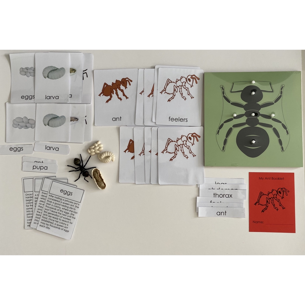 Right To Learn - All about ANT Package - Life cycle Models ...
