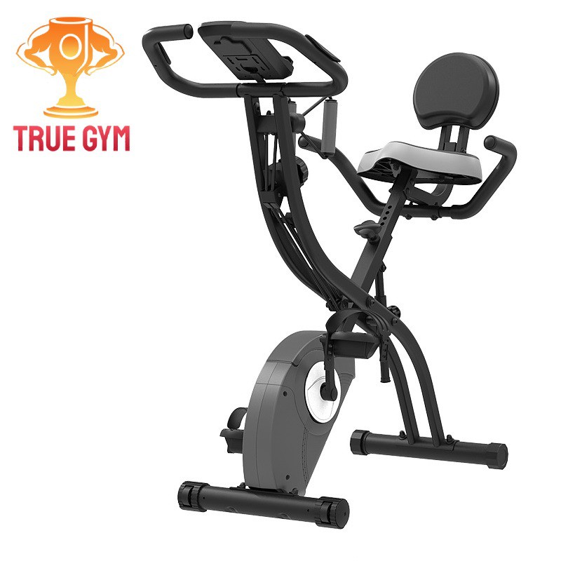 Foldable Spin Bike Upright Recumbent Bike Strength Cardio Training Dual ...
