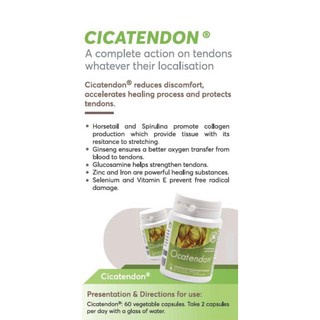 TENOFORT (Old packaging name: Cicatendon Capsules) | Shopee Singapore