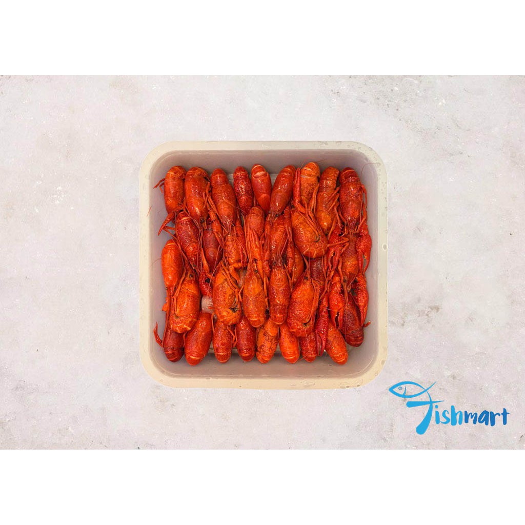 Mala Mini Lobster (Crawfish) 750g | Shopee Singapore