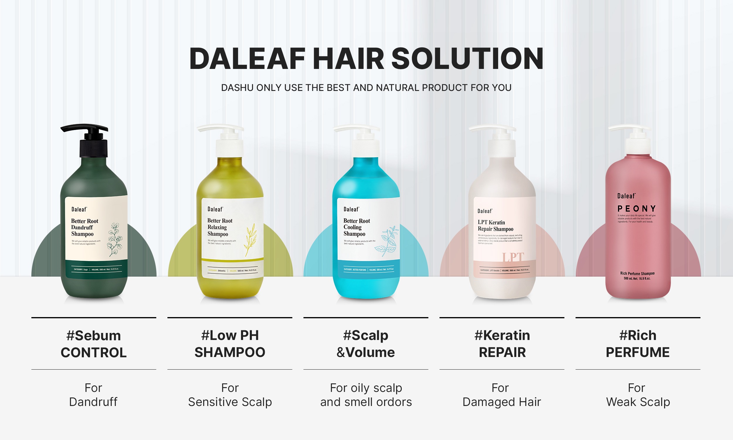 DASHU_official.sg, Online Shop Oct 2022 | Shopee Singapore