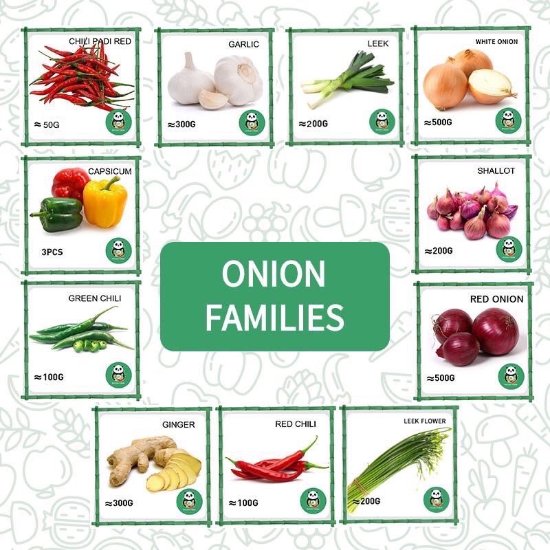 [PocketFresh] ONION FAMILIES [Fresh Vegetables] | Shopee Singapore