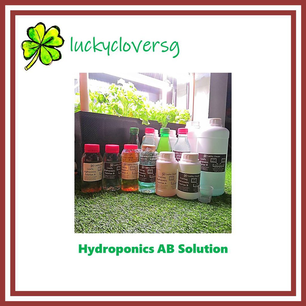 Hydroponic Nutrient AB Solution / Powder / Powdered / Hydroponics ...