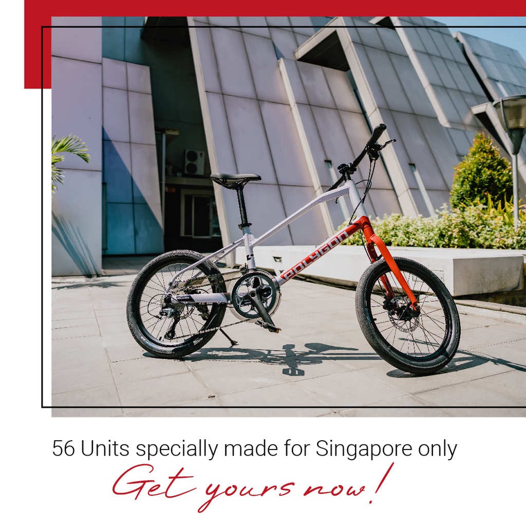 Polygon Zeta 2 SG Special Edition Mini Velo 20 Bike | Shopee Singapore