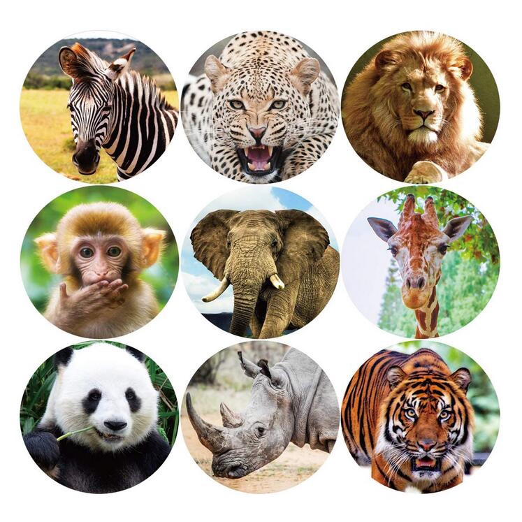 500pcs/per roll Realistic Zoo Animal Sticker Safari Animal Jungle round ...