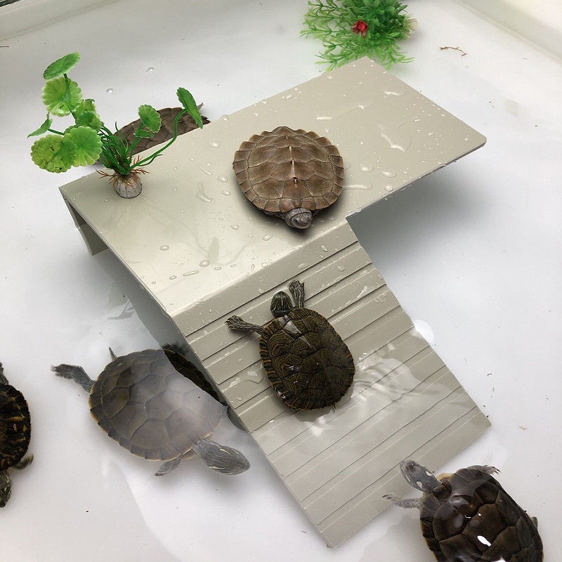 Drying Platform Climbing Platform Turtle Box Floating Platform Floating ...