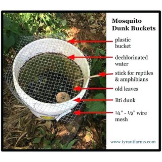 Mosquito Dunk+Nylon Netting Bag (Set) - kills mosquito larvae and ...