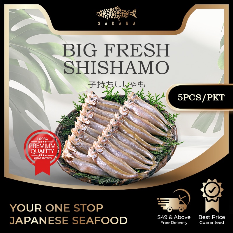 SAKANA | Japanese Extra Big Shishamo Smelt Fish Capelin 5PCS - 145G ...