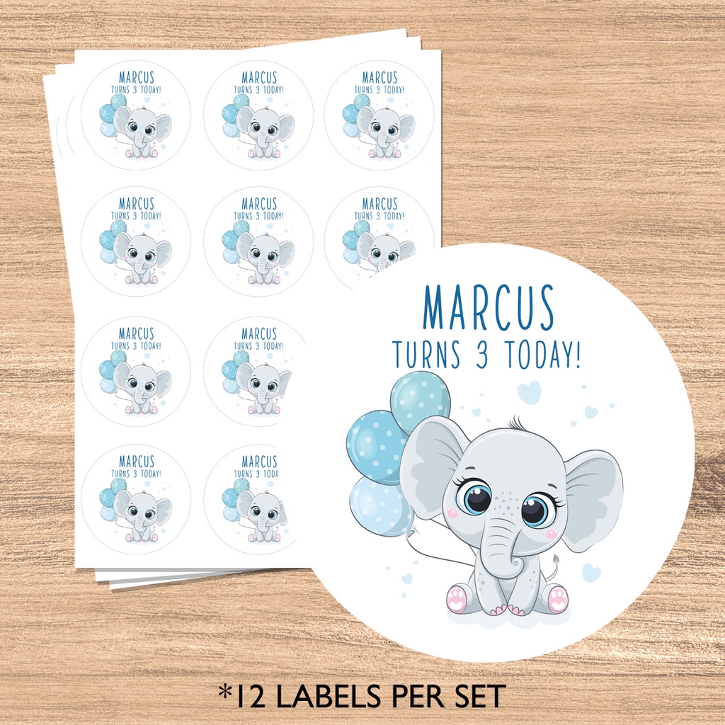 Personalised Birthday Sticker Labels Party Favor Labels Goodie Bag ...