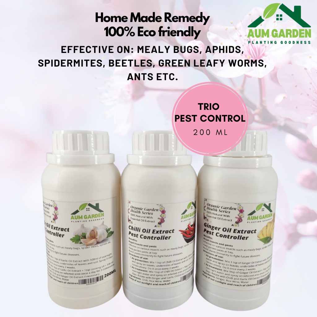 Pesticide 200ml - for Plants | Highly Effective for Aphids, Mealy Bug ...