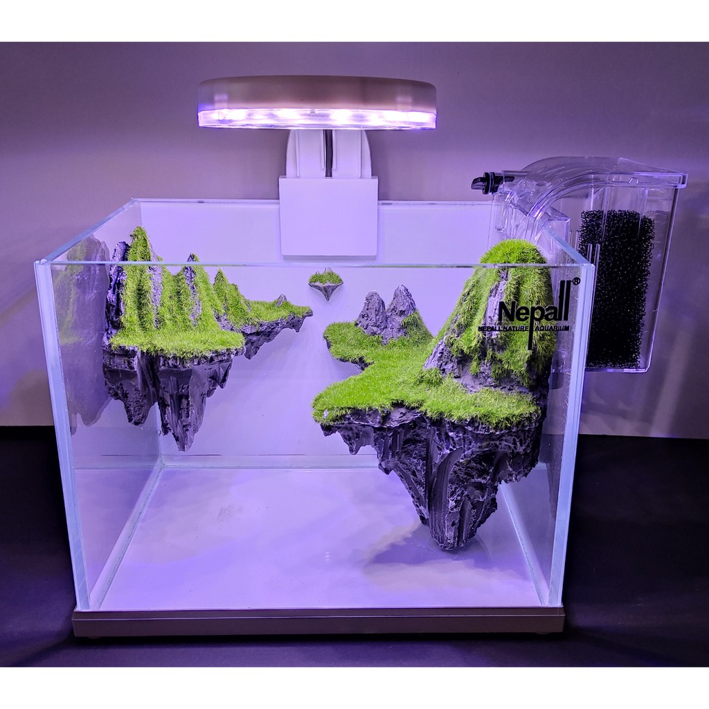 (SG STOCK) Mini fish tank set, all in one fish tank set, starter kit ...