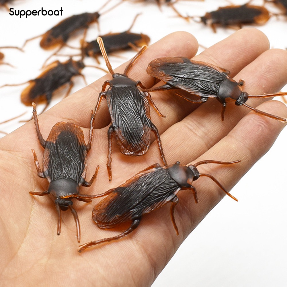 SPB 12Pcs Plastic Simulation Cockroach Bug Toy | Shopee Singapore