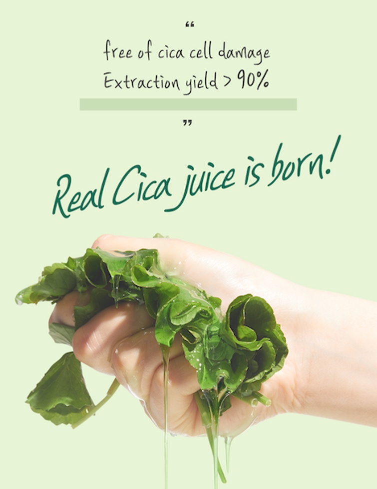 LABIOTTE MYDECA CICA CARE CREAM 50ML | Shopee Singapore