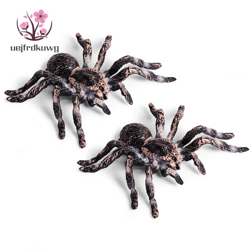 spiders - Prices and Deals - Mar 2023 | Shopee Singapore