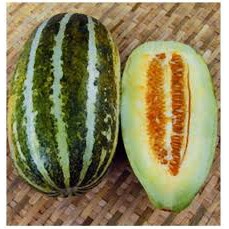 10 Sweet Muskmelon Melon Seeds Garden seeds Plant seeds Vegetable Seeds ...