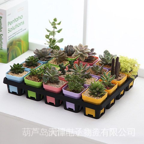 Seedling Tray Leaf Insert Combination Flowerpot Thickened Plastic Small ...