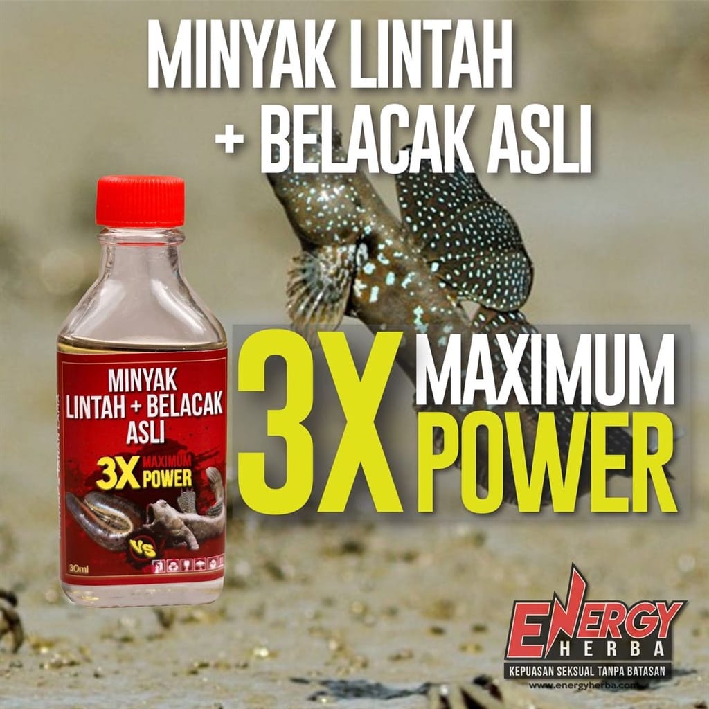 Minyak Lintah Belacak Asli 3x Maximum Power (Premium Grade Leech Oil ...