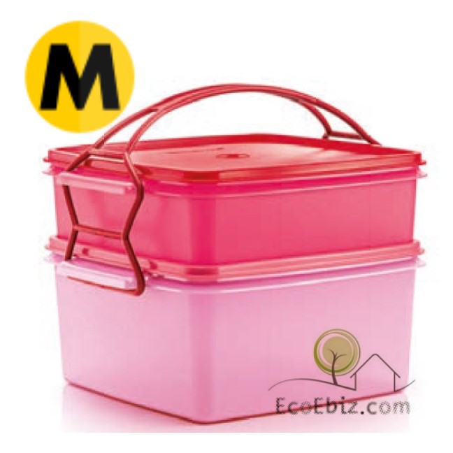 Tupperware [LARGE] Jumbo Goody box with Cariolier | Shopee Singapore