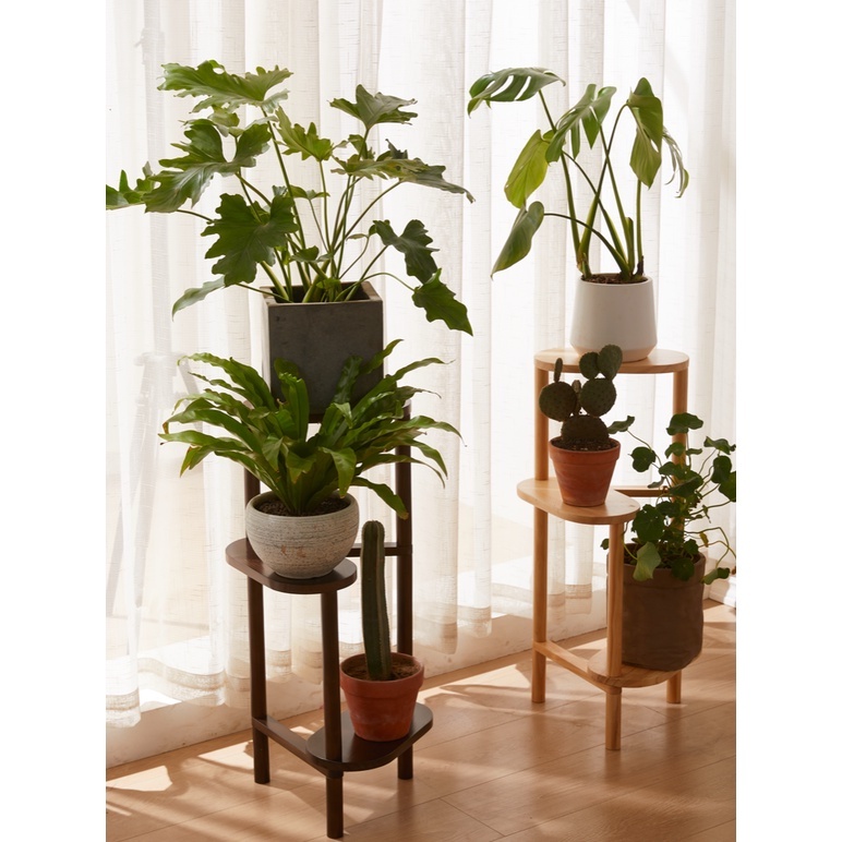 Solid wood flower rack indoor floor-to-ceiling rack floor-to-ceiling ...