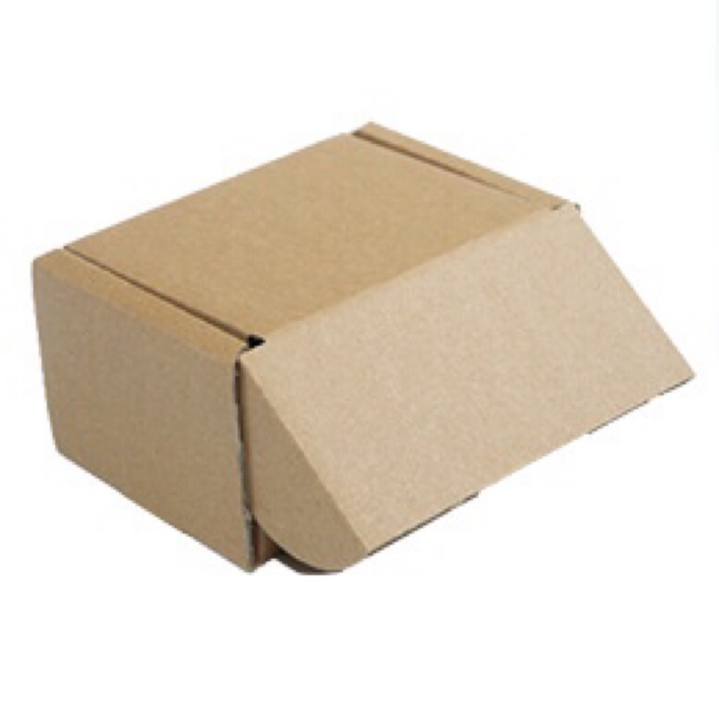 Doorstep Delivery! Thick Brown Carton Cardboard Box for Shipping Parcel ...