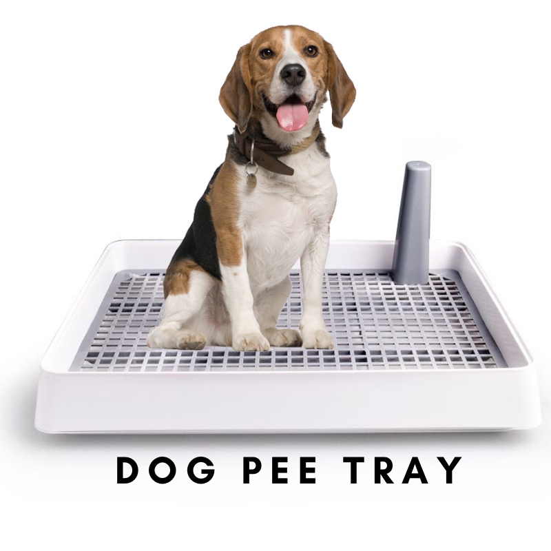 Dog Pee Tray Pet Toilet Plastic Dog Training Pads Tray Toilet Mat Puppy ...