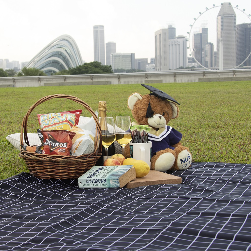 🇸🇬[SG Ready stock]🇸🇬 Picnic Mat with Strap Portable Waterproof Beach ...