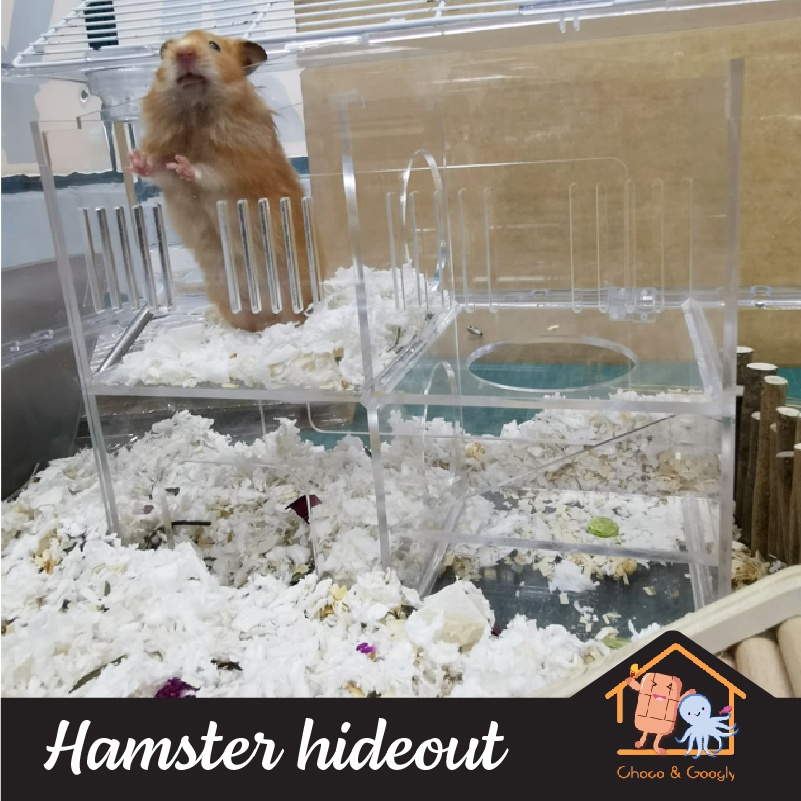 2 Storey Mansion Syrian Hamster Hideout Acrylic (Design D) | Shopee ...