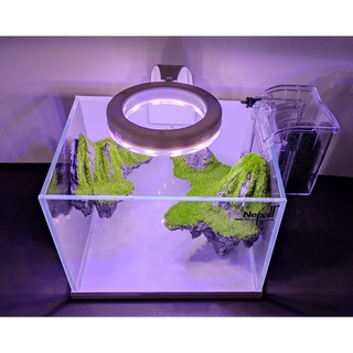 (SG STOCK) Mini fish tank set, all in one fish tank set, starter kit ...