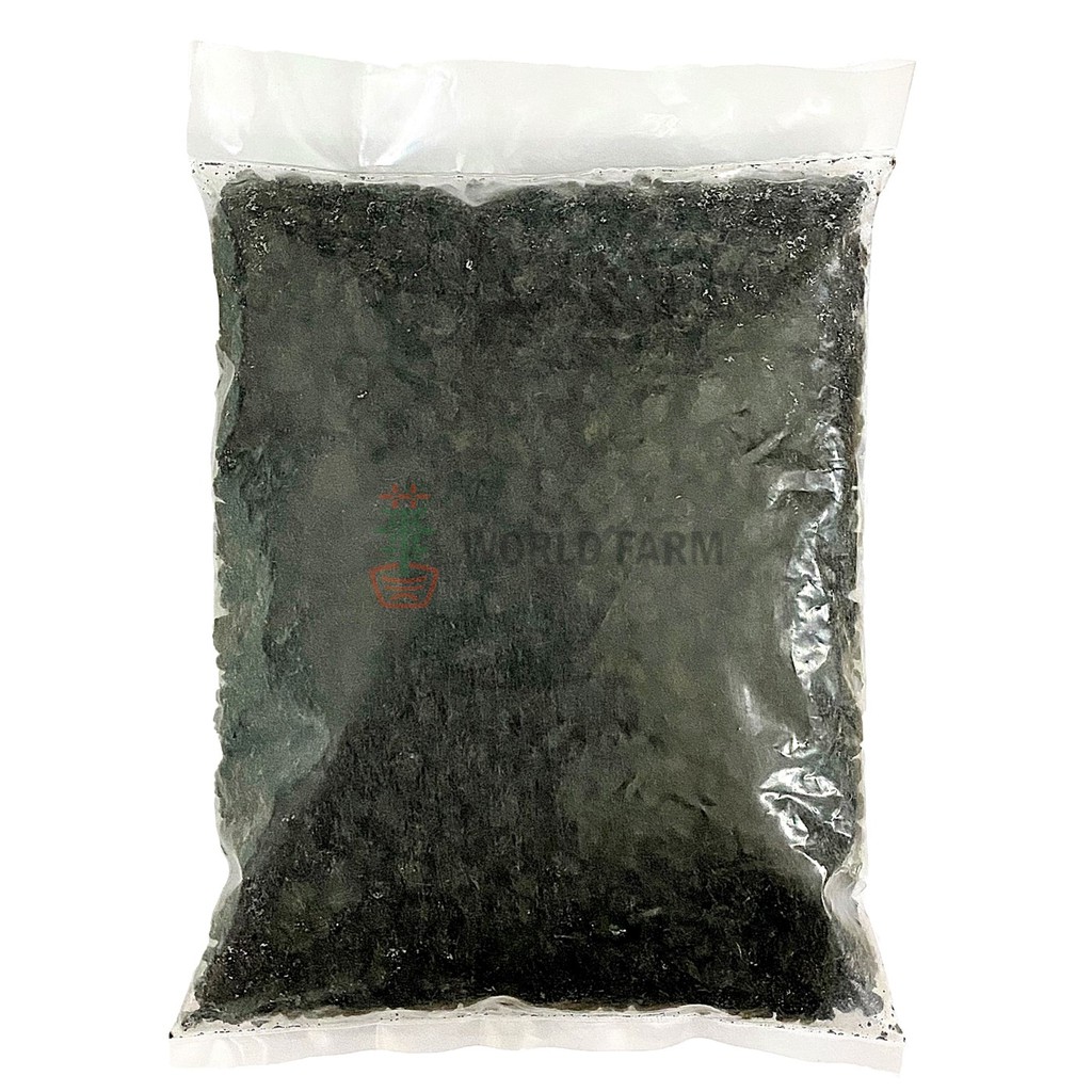 Volcanic / Lava Sand for Gardening, Approx. 1kg | Shopee Singapore