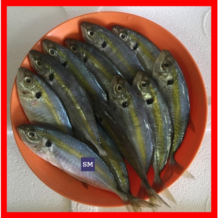 Ikan Kuning Kunning Fish 1 kg | Shopee Singapore