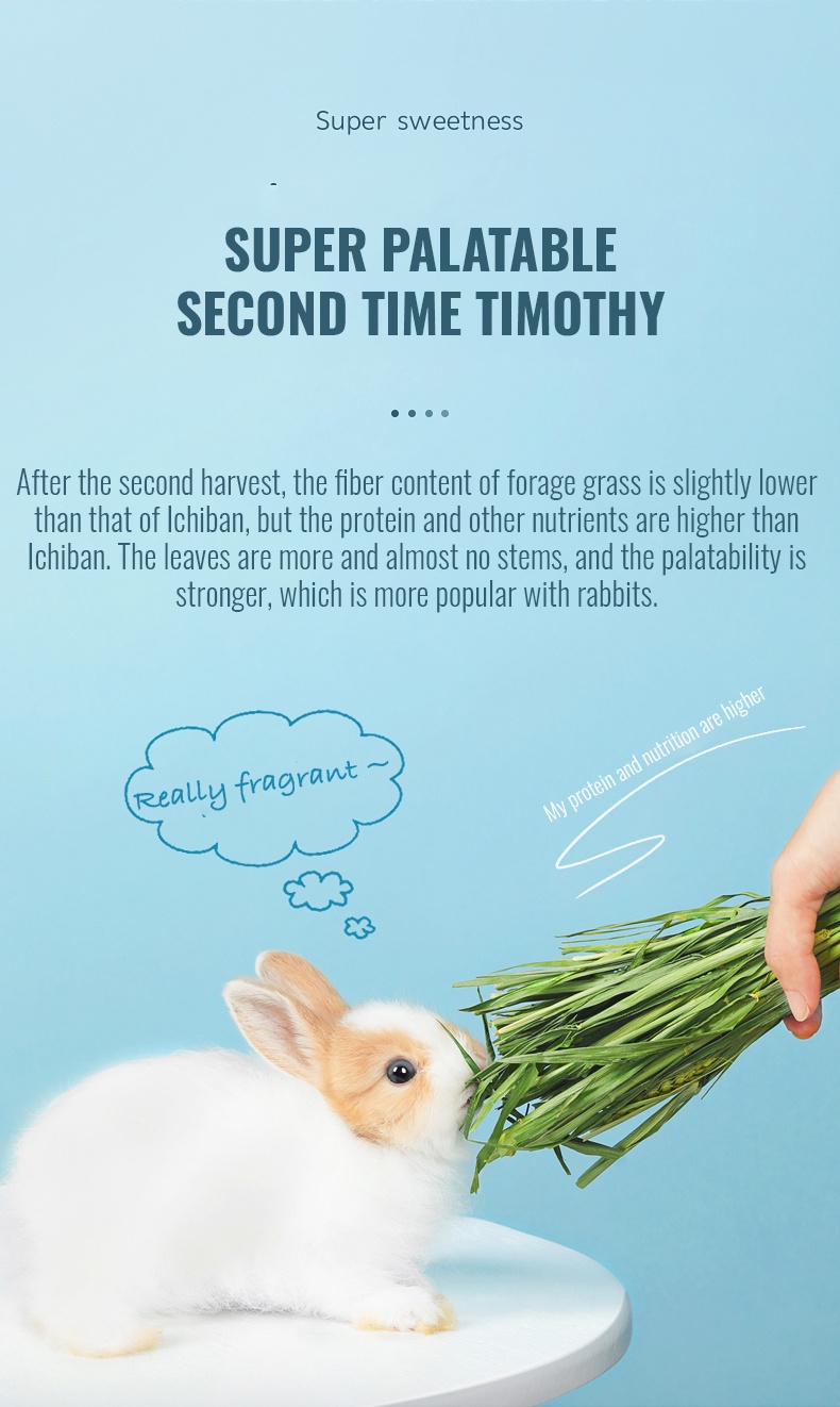 YEE Timothy Hay, Dry Grass For Bunny, Chinchilla, Guinea Pig, Rabbit ...