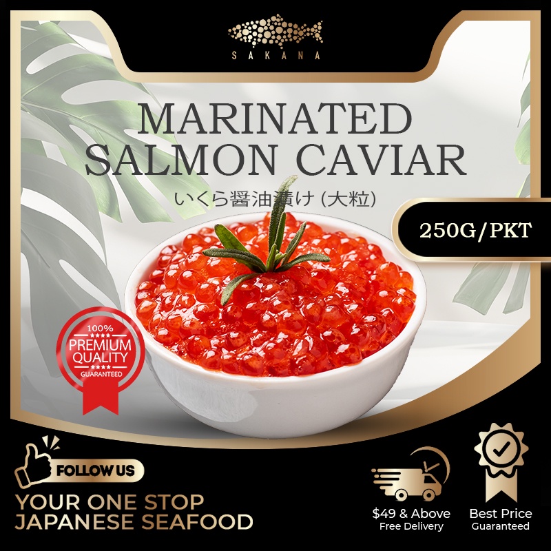 SAKANA | Premium Salmon Caviar Large Fish Roe (IKURA) - 250G Japanese ...